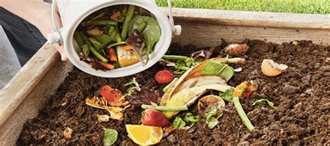 39 Items You Can Compost Ask A Prepper