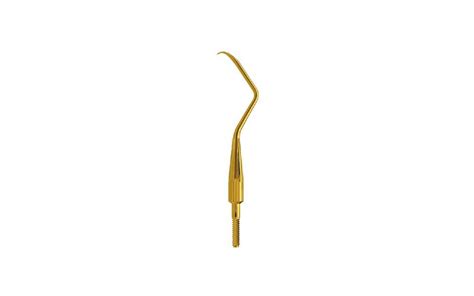 Top 10 Dental Scalers Dental Country™