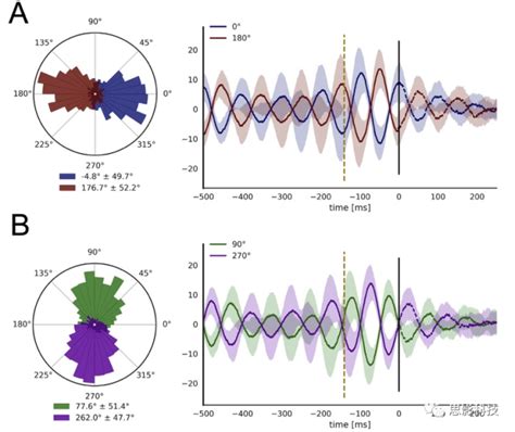 Python 幅度和相位求复数皮质运动兴奋性不受中央区mu节律相位的调节死月絲卡蕾特的博客 Csdn博客