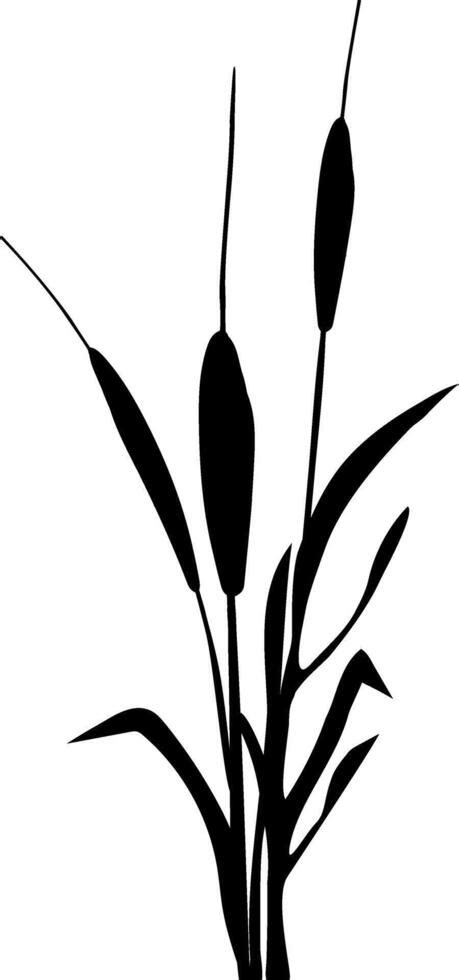 Page 2 Tall Grass Silhouette Vector Art Icons And Graphics For Free