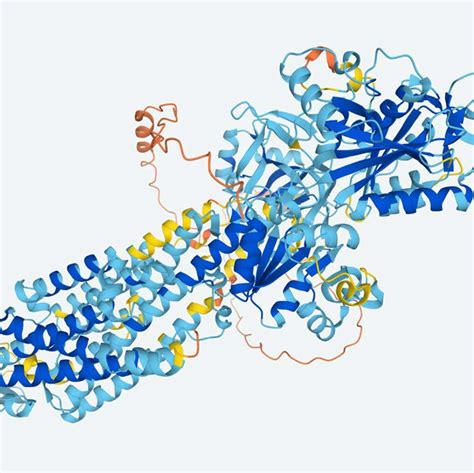 Protein Protein Interaction Dataset Kaggle