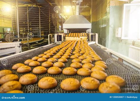 Cakes On Automatic Conveyor Belt Or Line Process Of Baking In