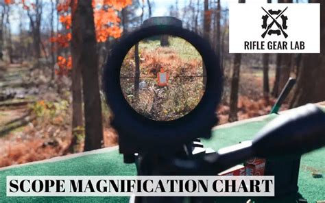 Scope Magnification Chart How Much Do You Need