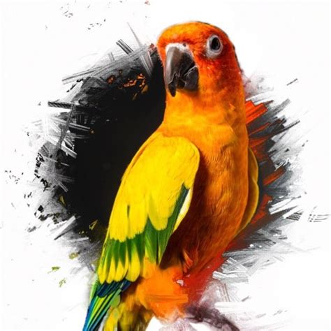 Stream Trystan Williams Music Listen To Songs Albums Playlists For