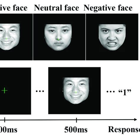 Illustration Of Facial Stimuli A Facial Stimuli With Three