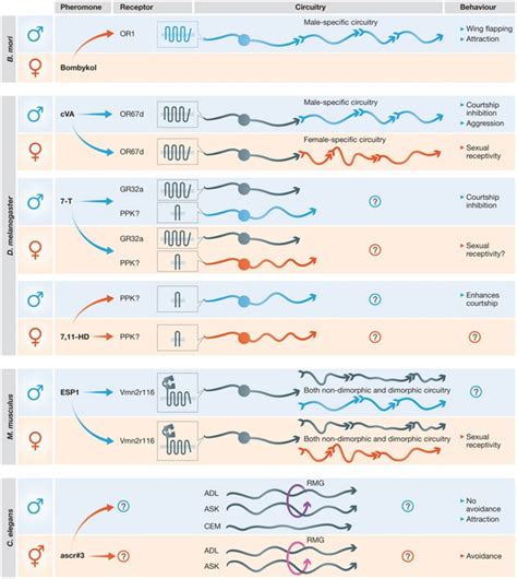 The Joy Of Sex Pheromones Pmc