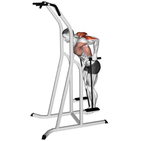 Triceps Dips Video Guide And Expert Tips