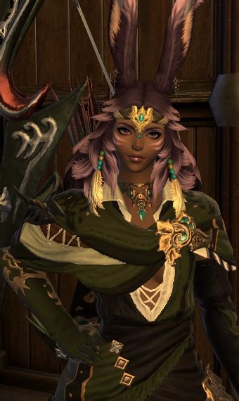 Abso Lute Ly Beautiful Eorzea Collection