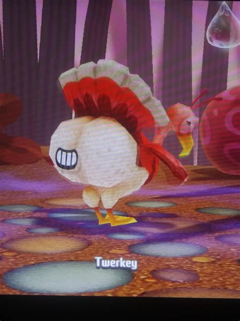 4k Hd Bird Twerking Rmiitopia