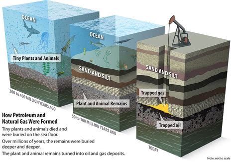 Fossil Fuels Formation