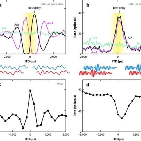 Sensitivity To Interaural Time Delays Itds Of A Noise Stimulus In The Download Scientific