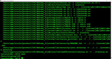 Oracle 19c Database Installation On Linux 76 On Vmware Workstation