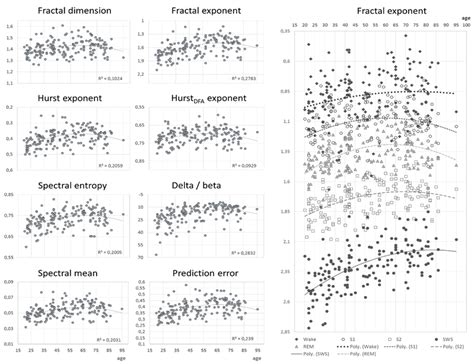 Relationship Between The Fractal Exponent And Age Presented Through