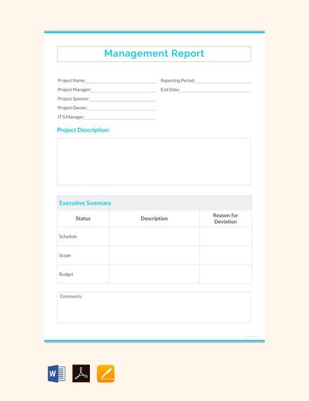 45 Management Report Examples To Download