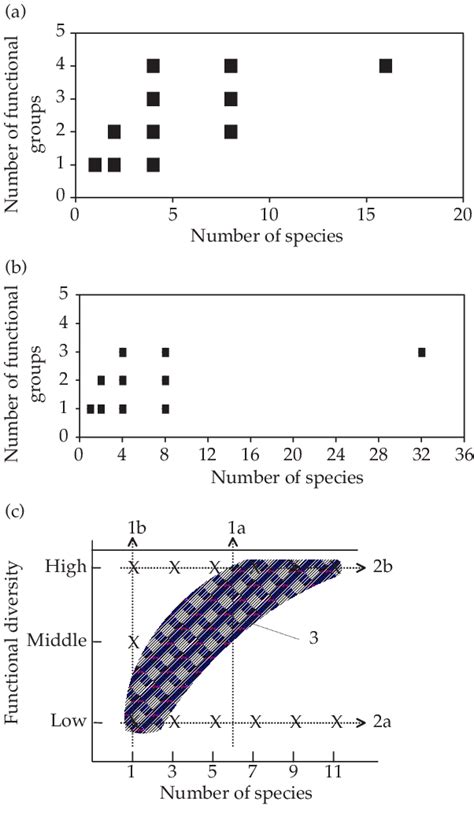 3 The Correlation Between Species Richness And Functional Richness In Download Scientific