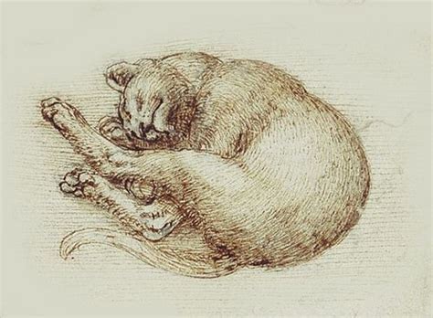 Sleeping Cat Leonardo Da Vinci Leonardo Da Vinci Renaissance Art Cats