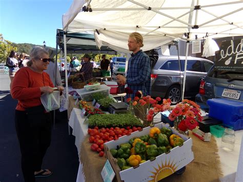In Season Tuesday Farmers Market Returns To Sonoma Plaza On May 4