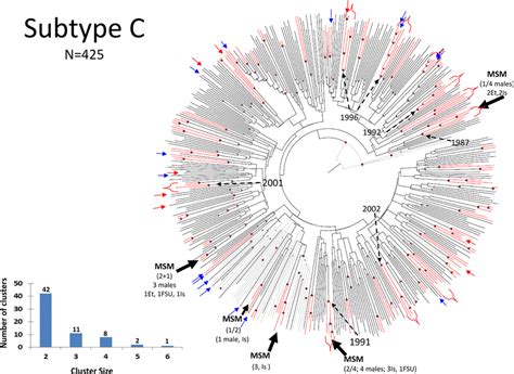 Bayesian Evolutionary Analysis Sampling Trees Beast Of Subtype