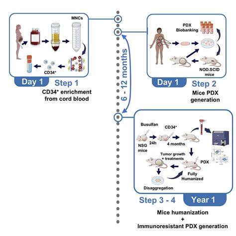 Cell Press Star Protocols