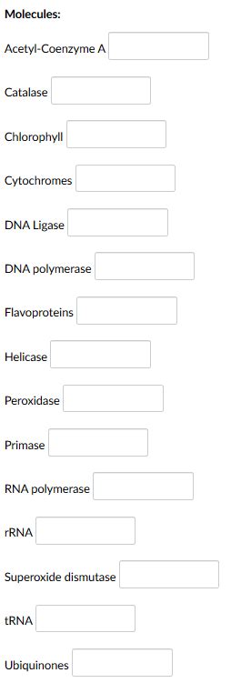 Solved Match Each Type Of Molecule Below To The Process That Chegg Com