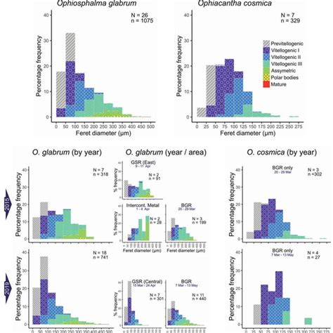 Oocyte Size Class Frequency Distributions Frequency Histograms