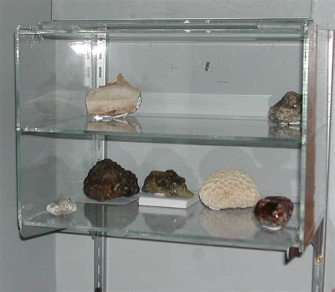 Let S See Those Best Display Shelves Member Collections The Fossil