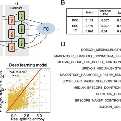 Evolution Of Splicing Complexity A Spearman Correlation Between Human