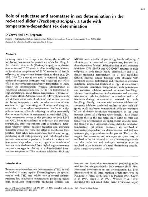 Pdf Role Of Reductase And Aromatase In Sex Determination In The Red