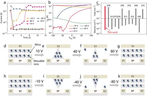 Doping Process Of The Ionic Mica‐based Electrostatic Doping In 2d Download Scientific Diagram