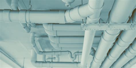 The Immune Systems Unsung Hero Mld And The Lymphatic System By Catherine Walton