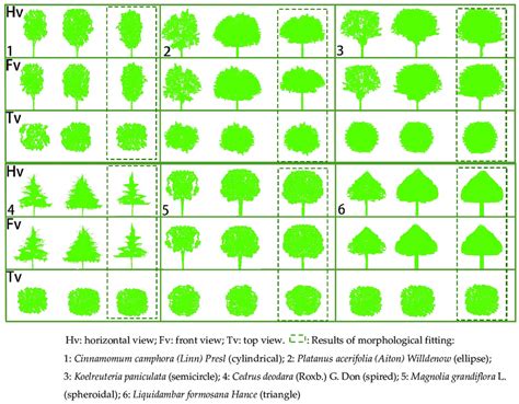Three View Geometrical Fitting Of Street Tree Download Scientific Diagram