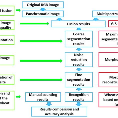 Segmentation Accuracy Of Different Segmentation Methods Download Table