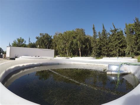 Ims Metu Mesocosm System Mesocosm