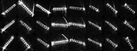 Figure 1 From Learning To Generate Sar Images With Adversarial