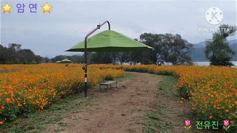 🌺암연 🎶전유진 ☘️배경 남양주 물의정원 Youtube