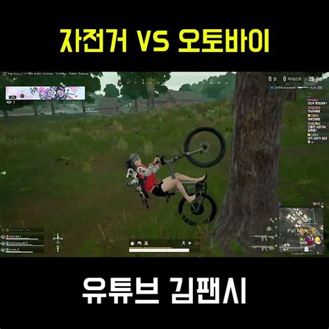 자전거 Vs 오토바이 Youtube