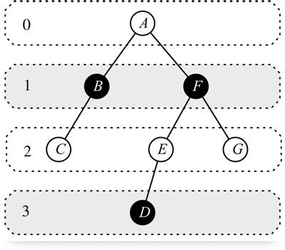 Resulting BFS Graph Download Scientific Diagram