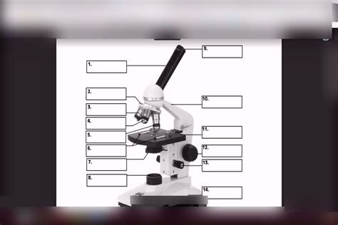 Microscope Labeling Part Diagram Quizlet