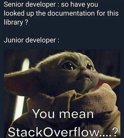 For Some Programmers Documentation Stack Overflow Rtheinsaneapp