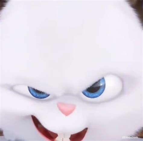 白色兔子动画兔子,兔老大瞬间被暖化了,女孩抚摸着他,等着尝尝龅牙和兔尾巴的。zzxxo 白色兔子动画兔子,兔老大瞬间被暖化了,女孩抚摸着他,等着尝尝龅牙和兔尾巴的。zzxxo