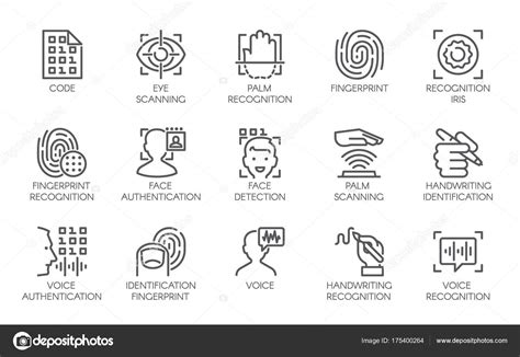 Line Icons Of Identity Biometric Verification Sign 15 Web Label Of Authentication Technology In