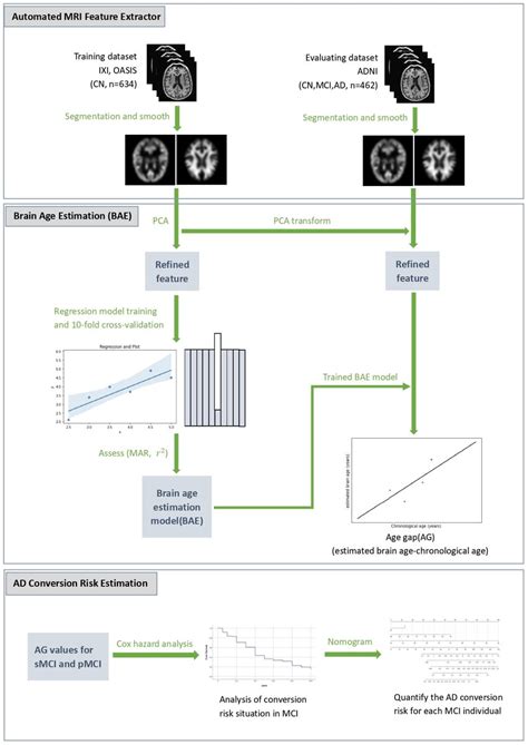 An Illustration Of The Novel Ad Conversion Risk Estimation System Download Scientific Diagram