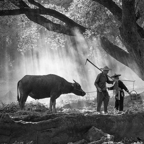 Robert Hechinger Expose Au Thé Des Muses Le Thé Des Muses