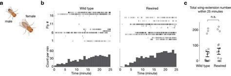 Rewiring An Olfactory Circuit By Altering The Combinatorial Code Of Cell Surface Proteins Pmc