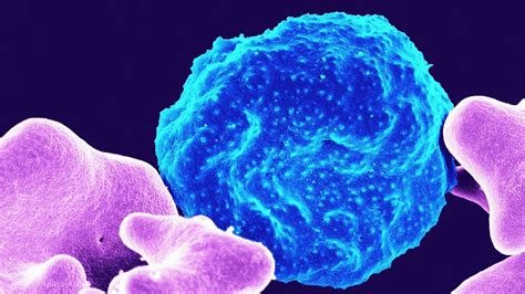 Insights Into Malaria Parasites Sexual Development Reveals