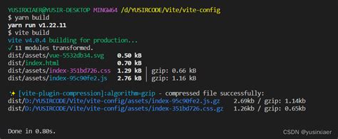 Vite配置cdn和文件压缩 源码巴士