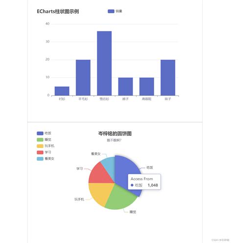 Web开发：如何用echarts来自动给网页设计各种统计图基于web的动态统计图表生成展示 Csdn博客