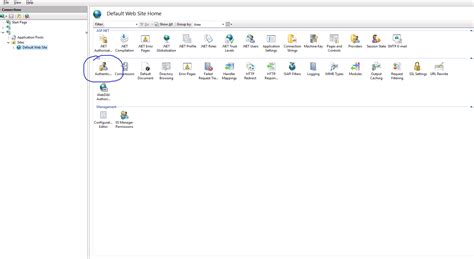 Open Iis And Go To Authentication Methods