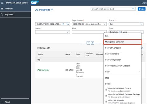 How To Use Data Lake Files Sap Community