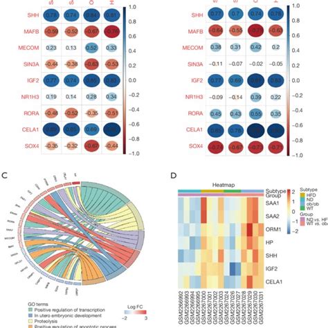 correlation analysis between genes between genes and biological